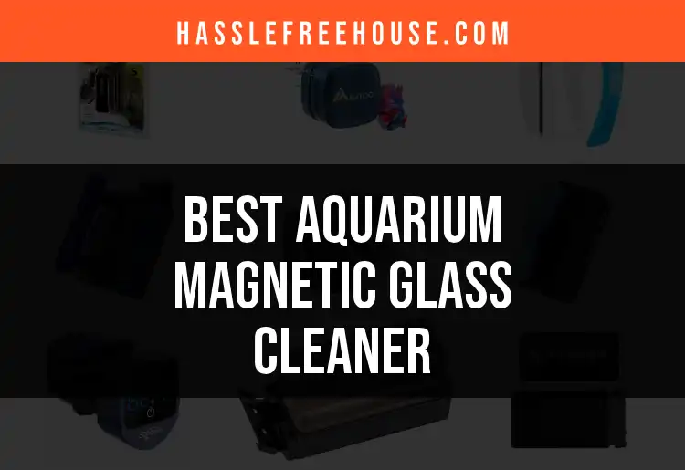10 Best Aquarium Magnetic Glass Cleaners for Crystal Clear Views