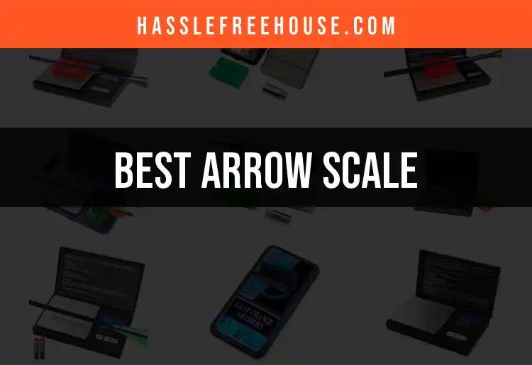 13 Expert Picks for the Best Arrow Scales