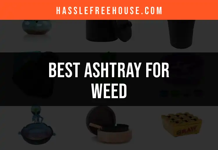 11 Best Ashtrays for Weed: Practical Picks for Every Smoker