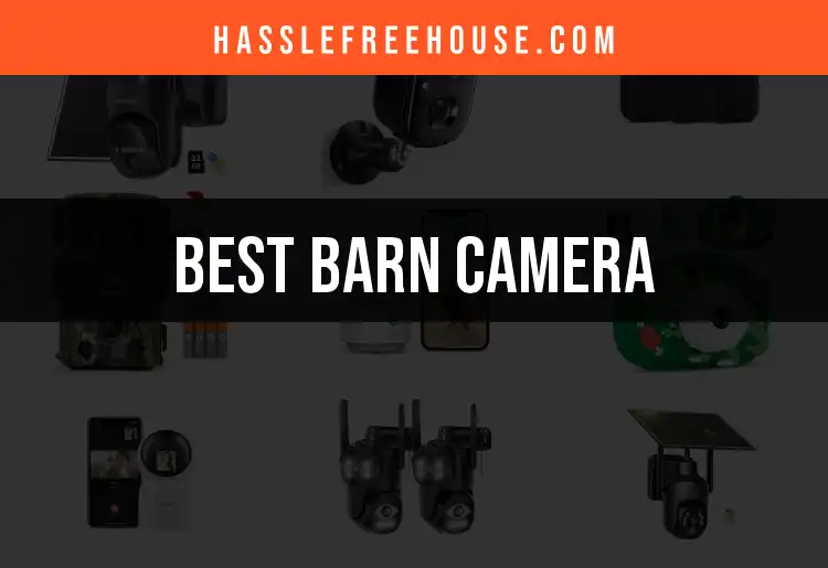 17 Best Barn Cameras for Effortless Monitoring