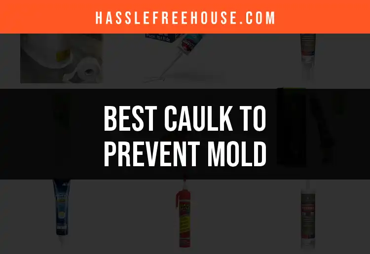 15 Best Caulks to Prevent Mold and Keep Your Home Fresh