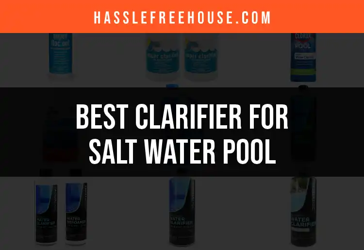 14 Best Clarifiers for Salt Water Pools