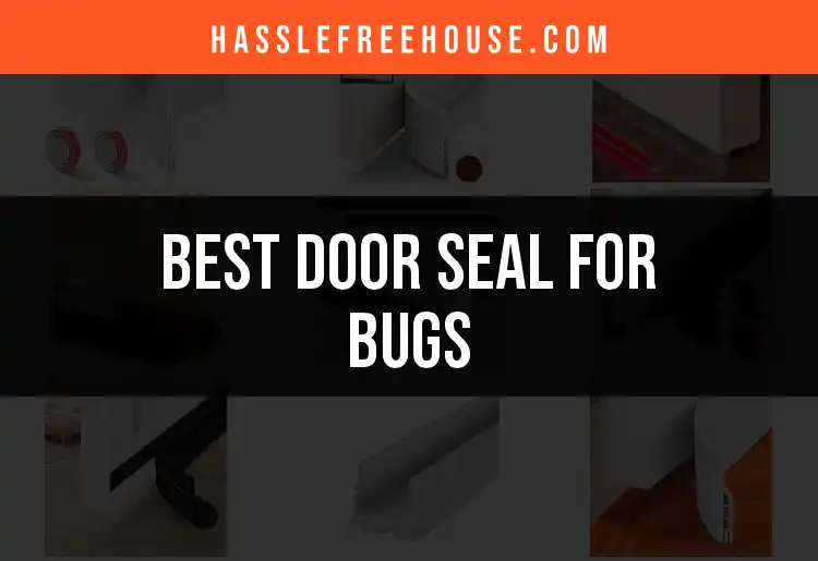 17 Best Door Seals for Bugs to Keep Your Home Pest-Free