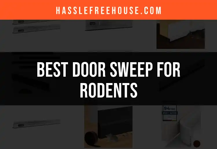 14 Best Door Sweeps for Rodents to Keep Your Home Safe