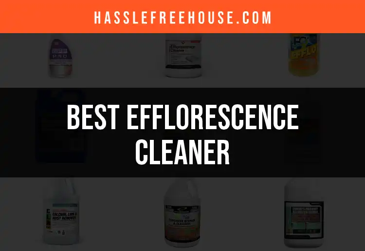 14 Best Efflorescence Cleaners for a Spotless Home