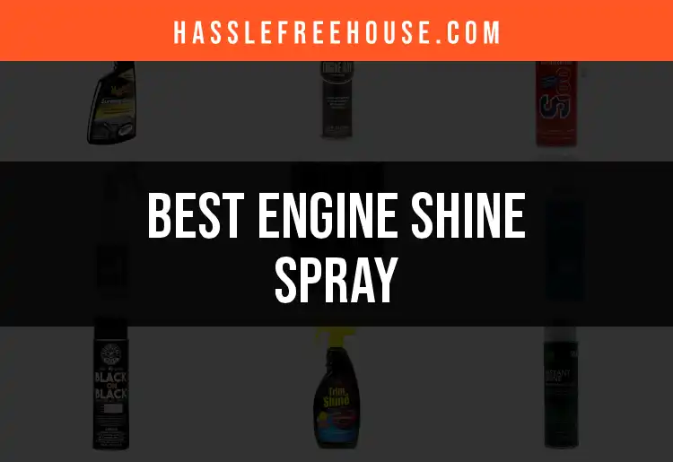 14 Best Engine Shine Sprays for a Pristine Finish