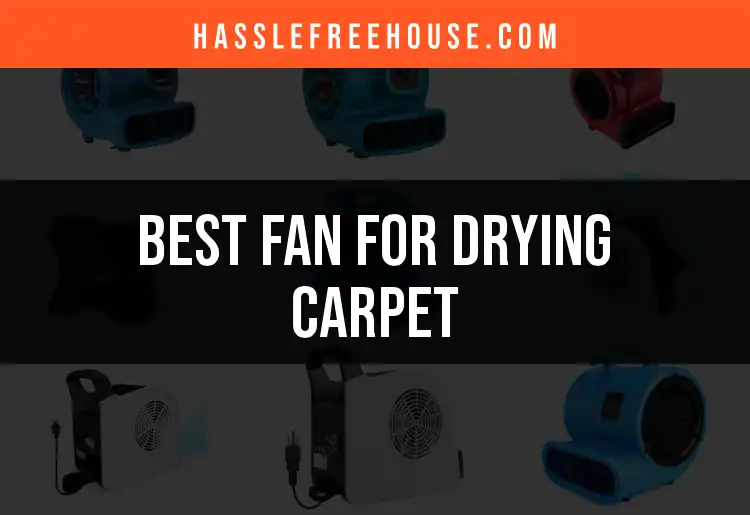 12 Must-Have Fans for Drying Carpet Efficiently