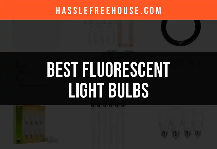 11 Best Fluorescent Light Bulbs for Every Home Need