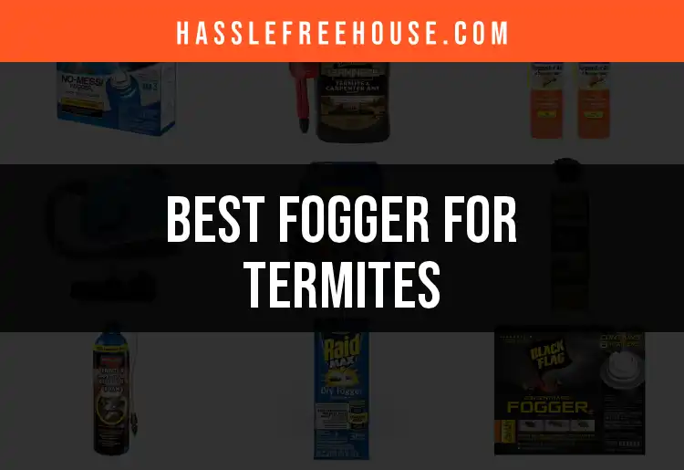 16 Best Foggers for Termites to Protect Your Home