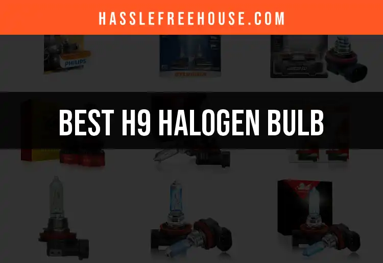 11 Best H9 Halogen Bulbs for Brilliant Illumination