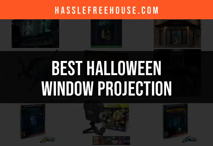 12 Spooky Halloween Window Projections to Transform Your Home