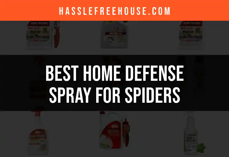 15 Must-Have Home Defense Sprays for Spider Control