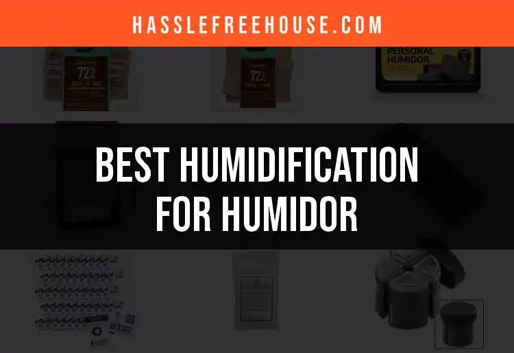 Top 10 Humidification Solutions for Your Humidor