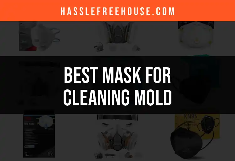 19 Essential Masks for Cleaning Mold Effectively