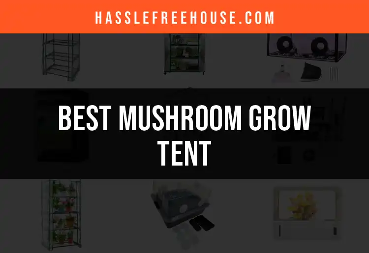14 Best Mushroom Grow Tents for Your Indoor Garden