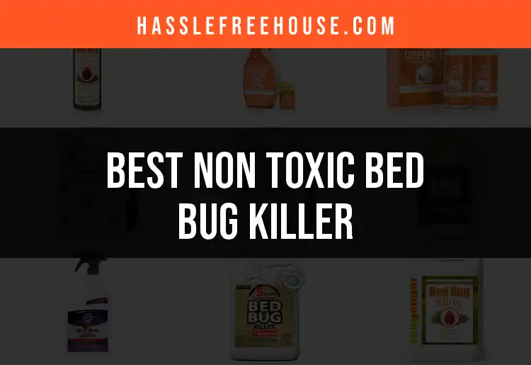 16 Best Non Toxic Bed Bug Killers for Peaceful Sleep