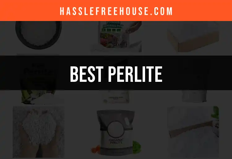 The Top 10 Perlite Products for Home Improvement