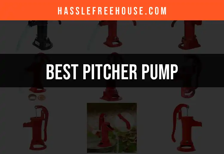 Top 10 Pitcher Pumps for Effortless Watering