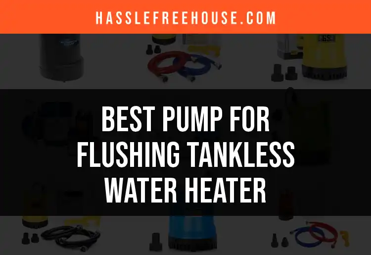 16 Best Pumps for Flushing Tankless Water Heaters