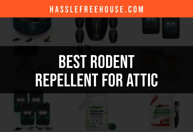 18 Top Rodent Repellents for Your Attic Space