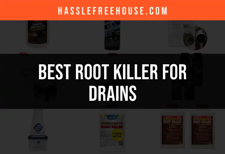 The 12 Best Root Killers for Drains to Try Today