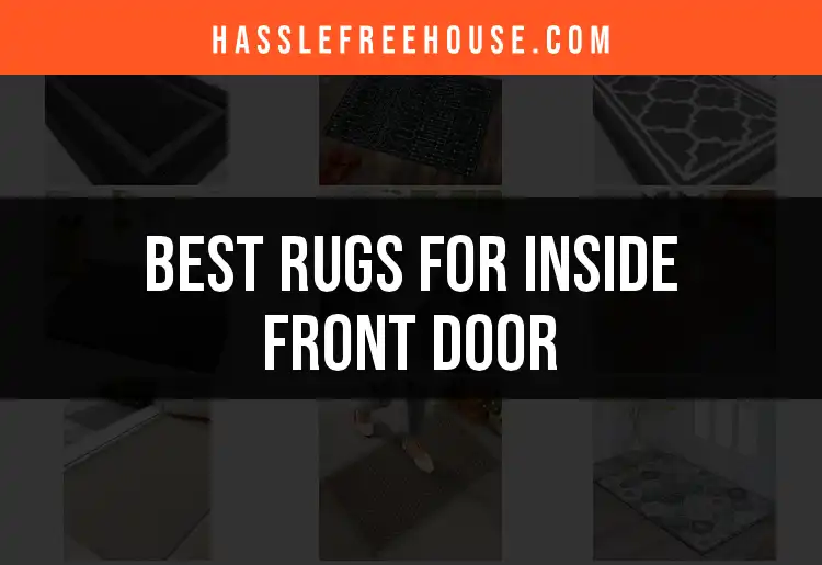 18 Must-Have Rugs for Inside Your Front Door