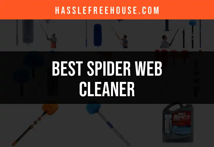 14 Best Spider Web Cleaners for a Dust-Free Home