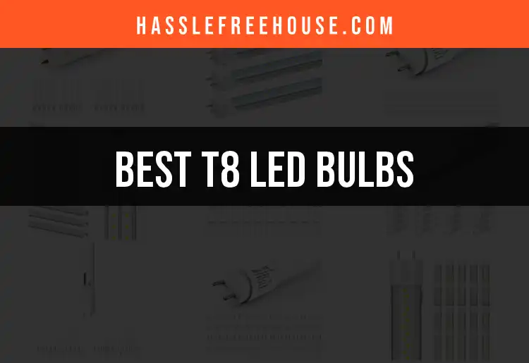 12 T8 LED Bulbs That Brighten Your Home Efficiently