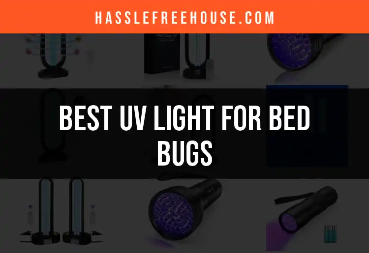 18 Best UV Lights for Bed Bugs: Top Picks for Effective Control