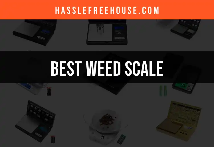 17 Best Weed Scales for Precise Measurements
